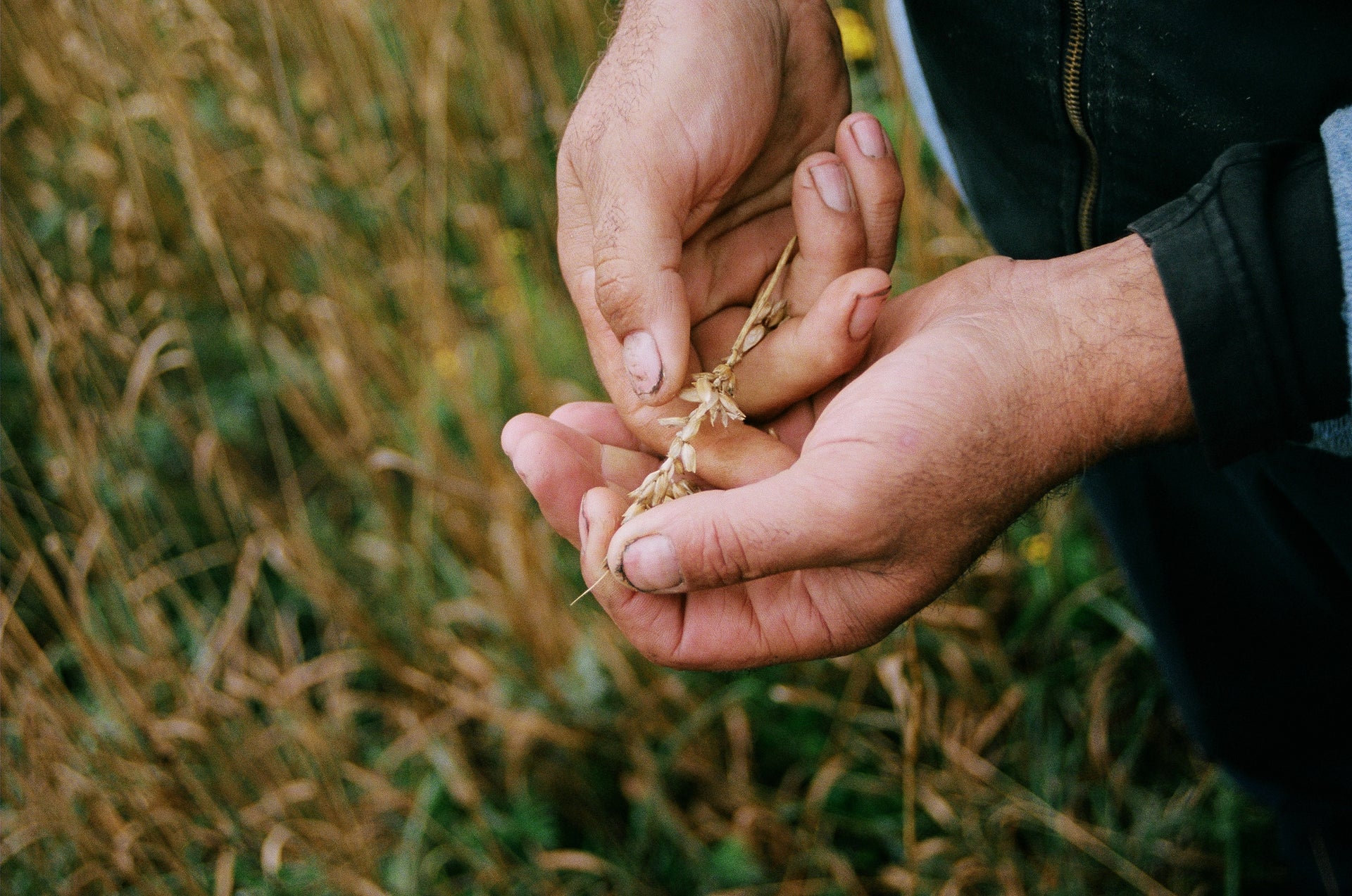 Harvey farm - Menaud - Charlevoix Distillery and Brewery